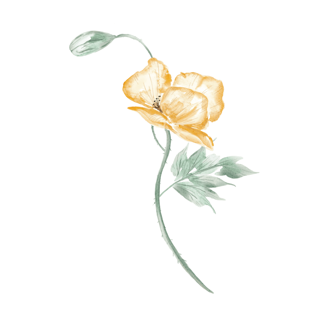 Miss Milly | wild flower living - Miss Milly